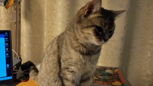 Не сна, не отдыха.... одна работа