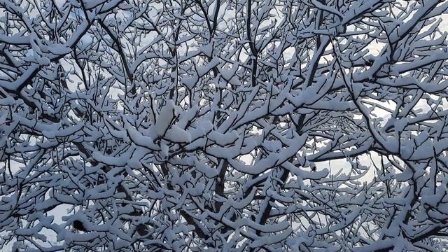 Зима всегда в кайф, особенно снежная :)