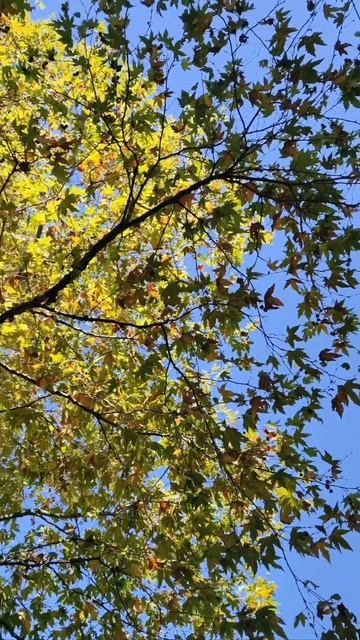 Начало Осени #анапа2025