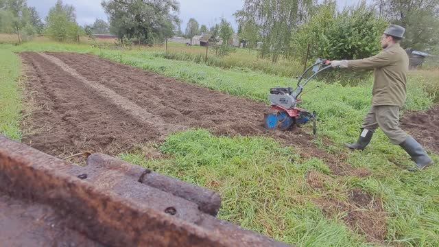 Заделка семян люпина активными роторами