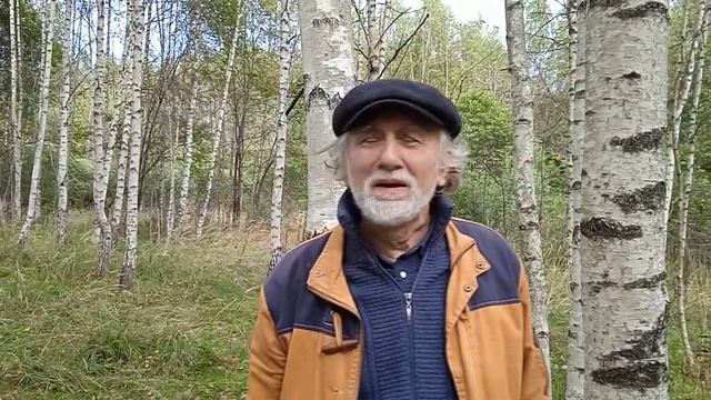 Как сделать правильный выбор Лесная техника.