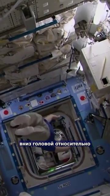 «Можно не вернуться на Землю живым и здоровым»