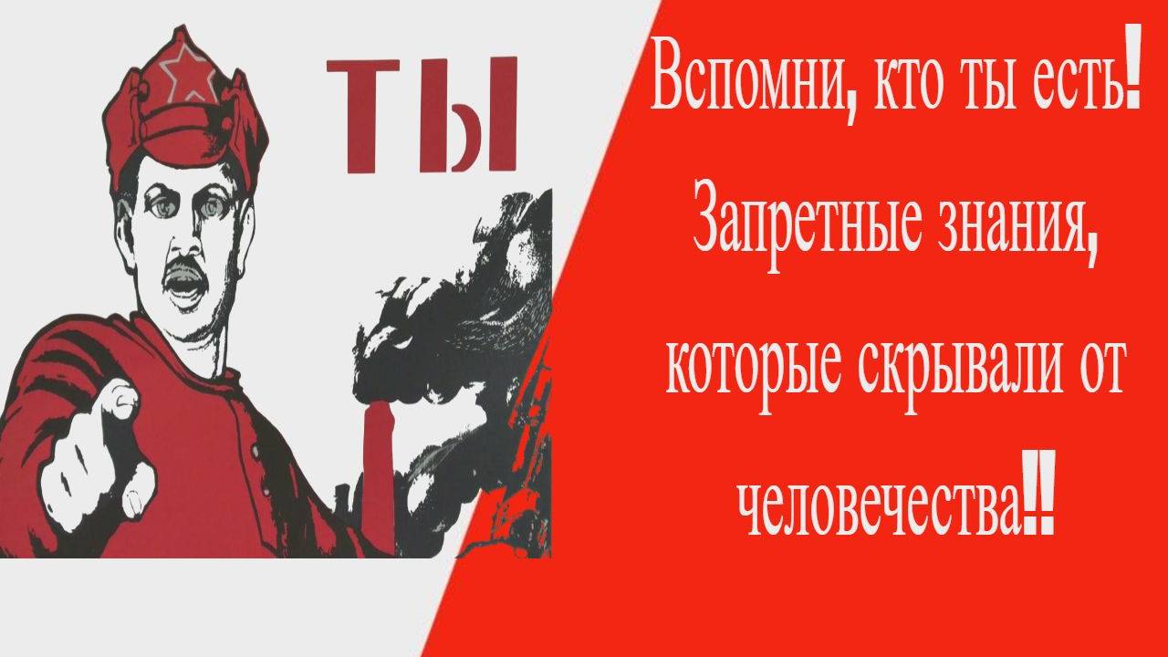 Тайная книга жизни: Вспомни, кто ты есть! Запретные знания, которые скрывали от человечества