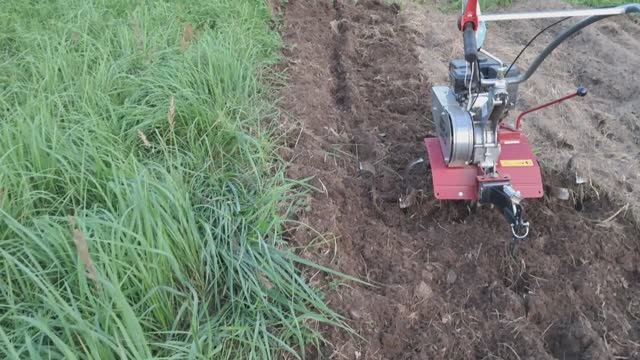 Чистоту пару