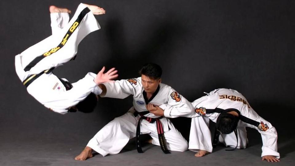 Бон Су Хан ХАПКИДО 02 Оранжевый пояс