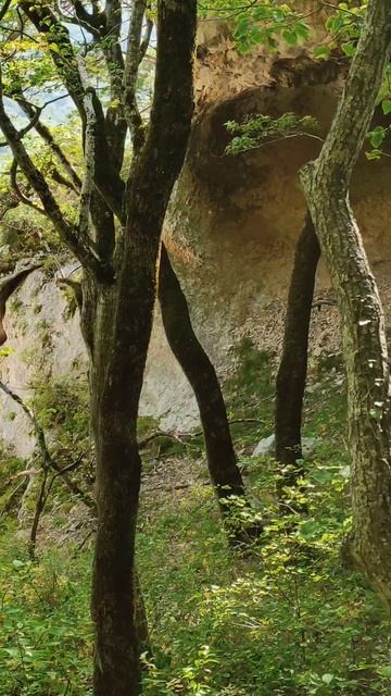 Адыгея 2025. Канатка