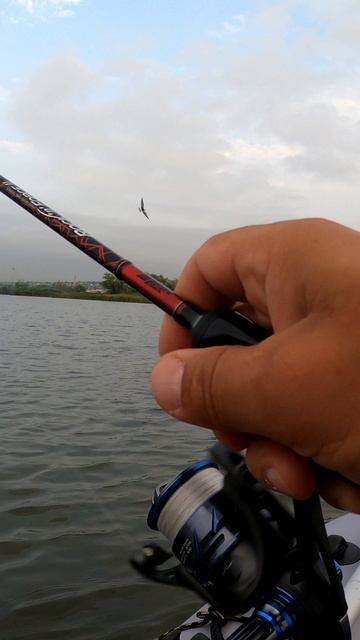 Птица на микроджиг 🤣