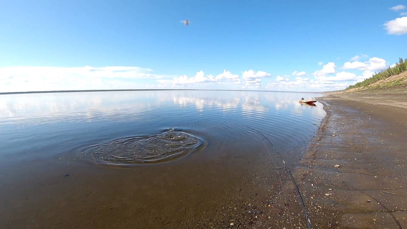 Рыбалка. Енисей даёт жару. Часть первая.