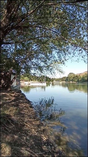 Черепашье озеро в Тбилиси 19.08.2025