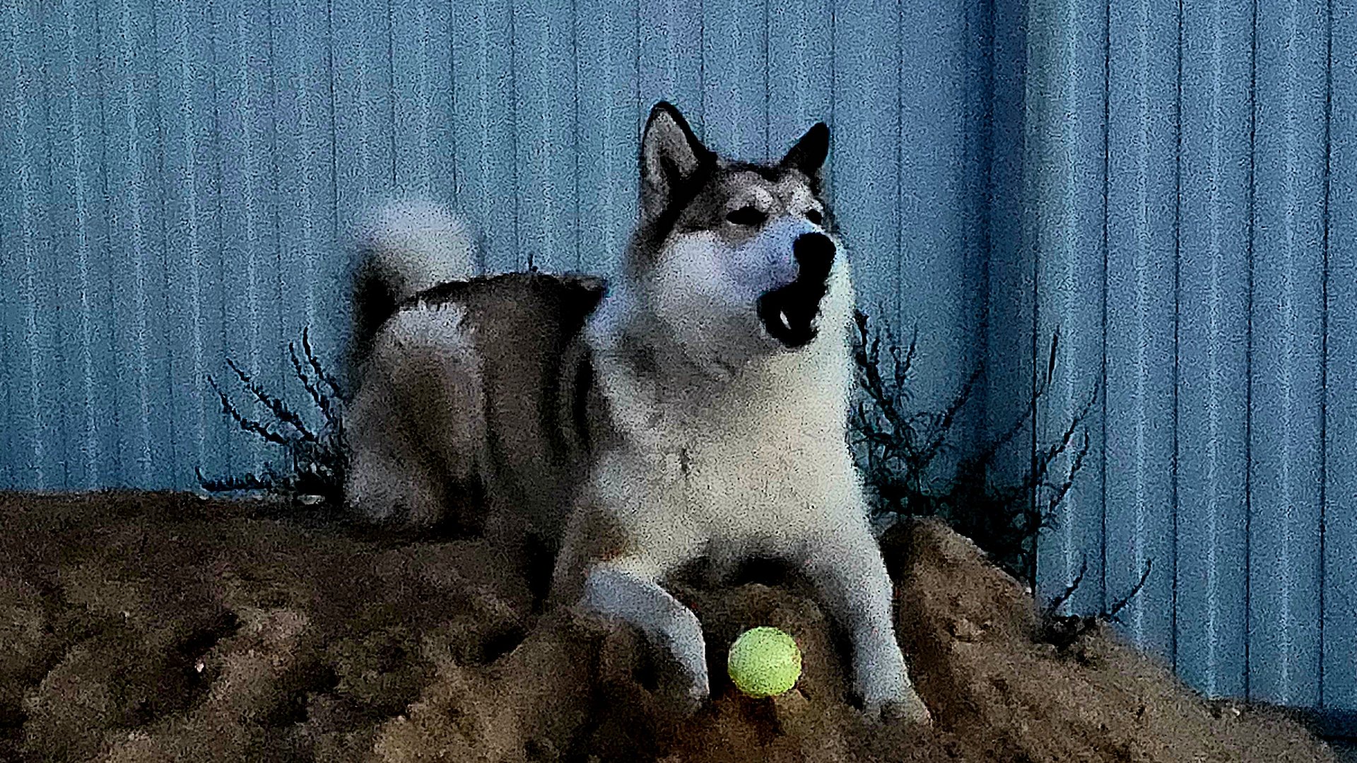 Выбор очевиден