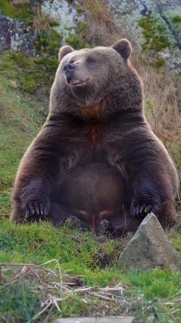 Просто Царь