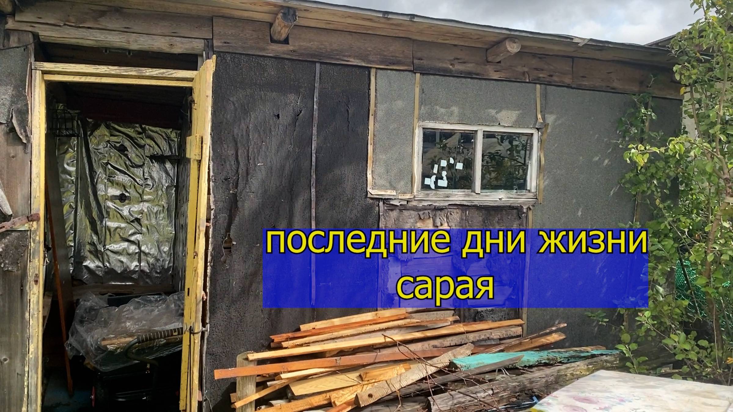 23.08.25 последние дни жизни сарая / мучительный выбор сумки / о нас пишет интернет / право на мечту