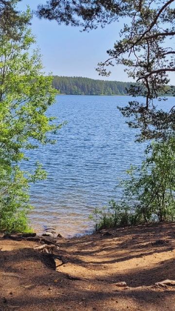 Карелия 2023. Июнь 2023г