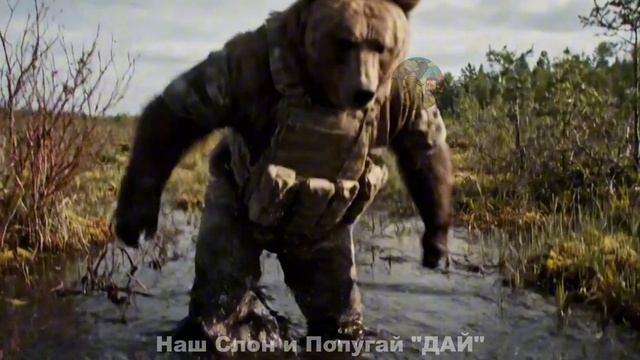 МИХАЛЫЧ и ОПЕРАЦИЯ КОЧКА...