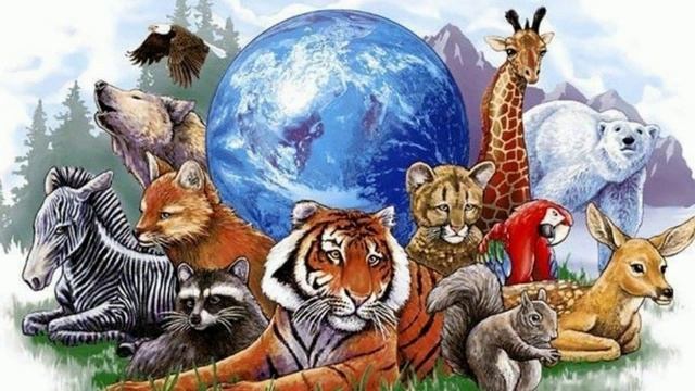 Животный мир Земли это цикл само пополняемых энергий, которые заложены в матрицу планеты!