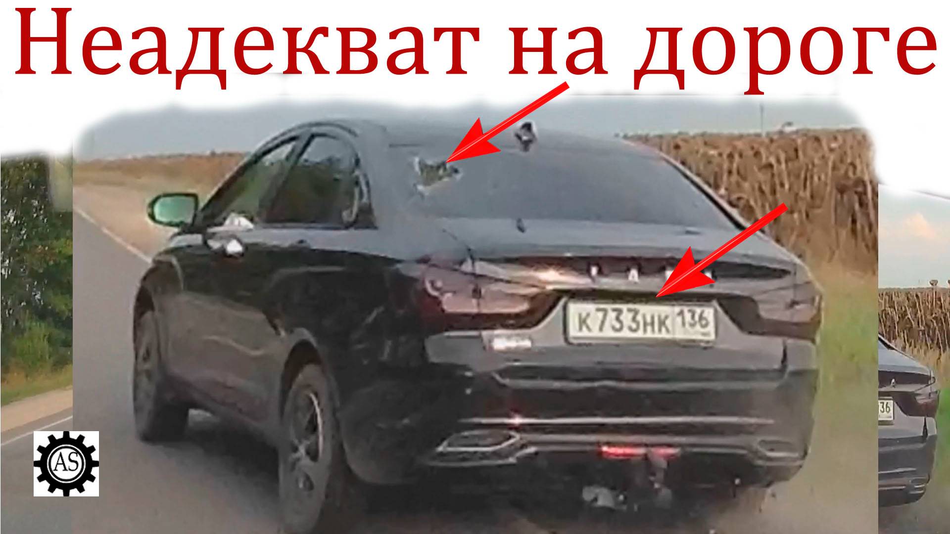 Неадекватный водитель и как удалось избежать ДТП!