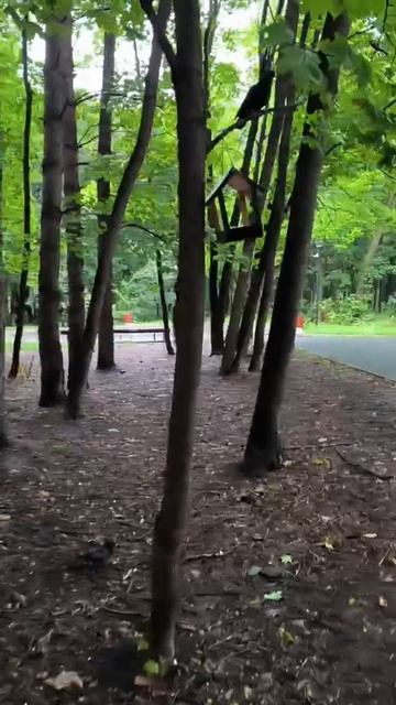 Любопытная, заглядывает в объектив