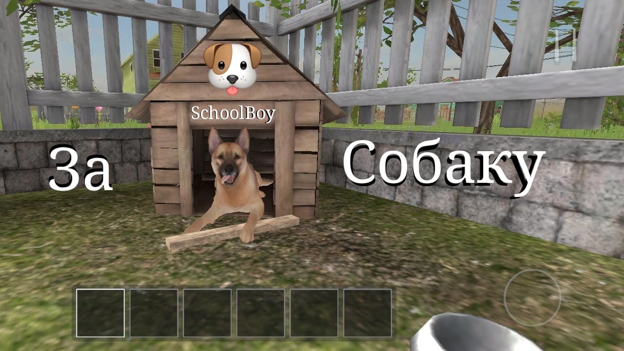 Schoolboy игра за собаку