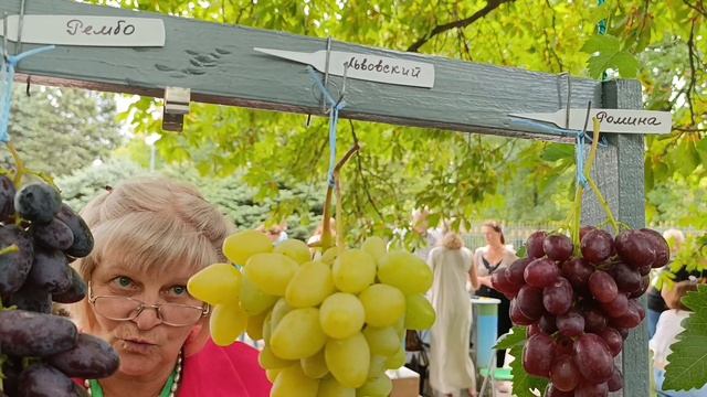 Обзор винограда .Выставка в Донецке