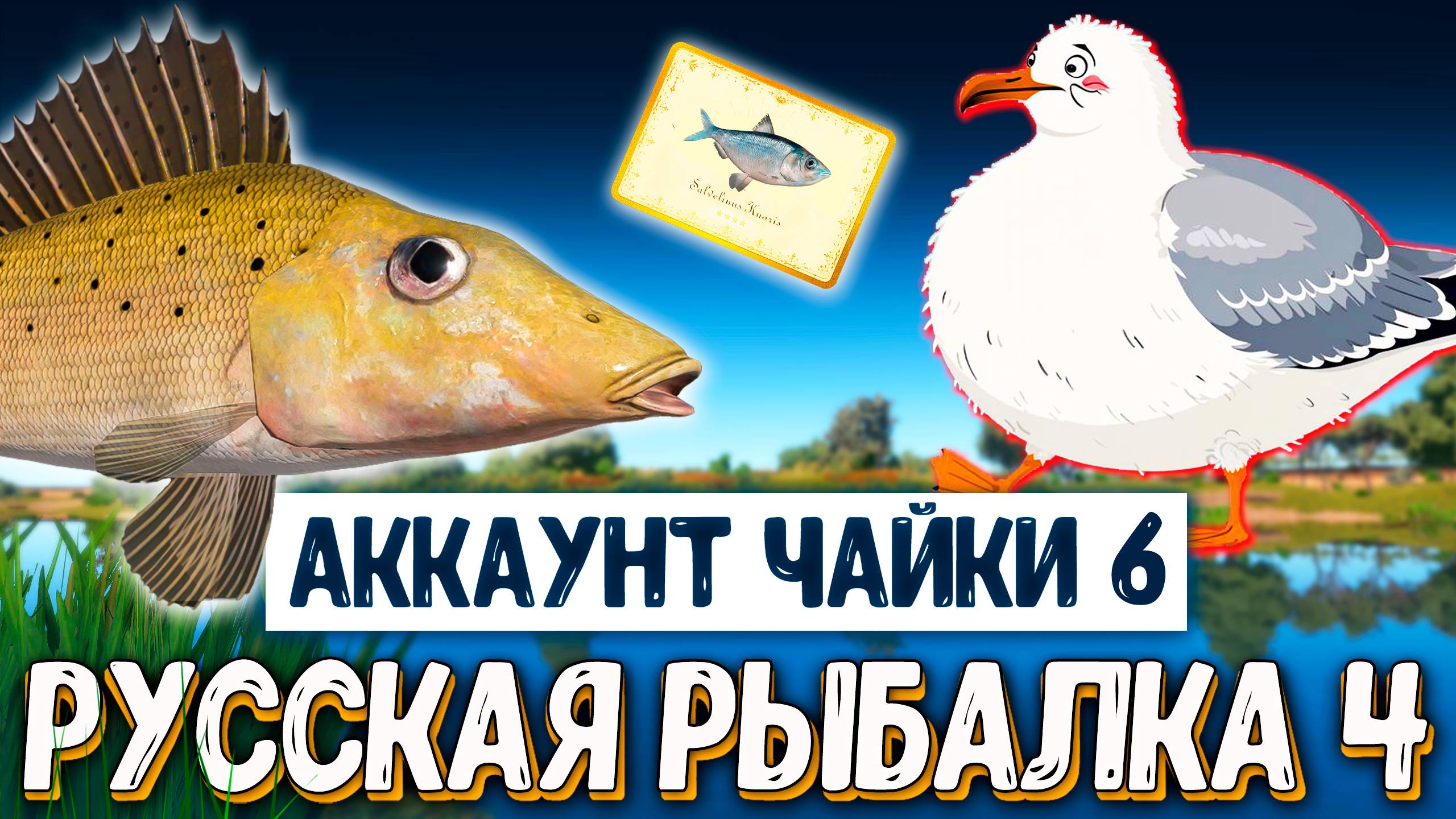 Rf4 мощные катушки отправили из чата, удилища, приманки и другое #рр4