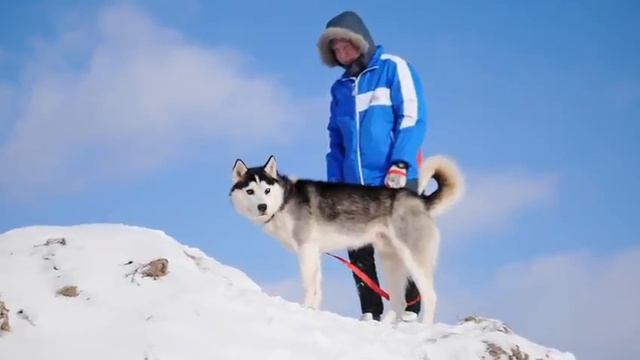 Выезды в приюты с "Погуляй собаку"