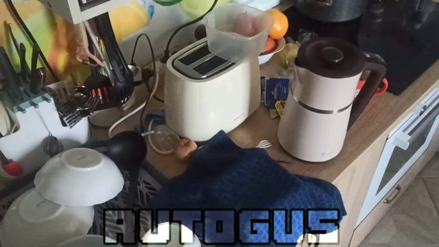 тутор на приготовление доширака