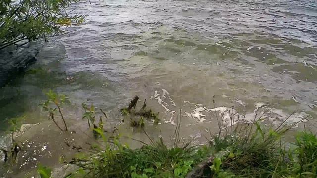 Пруд на р.Большая перескокна