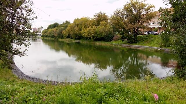 Владимирский пруд. Цикл Старинные пруды России.