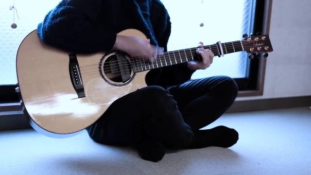 Токийский Гуль, Tokyo ghoul theme Guitar cover