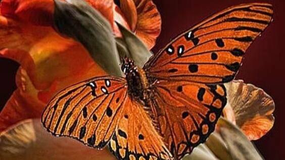 СЕНТЯБРЬ--ВОДОЛЕЙ(астро)