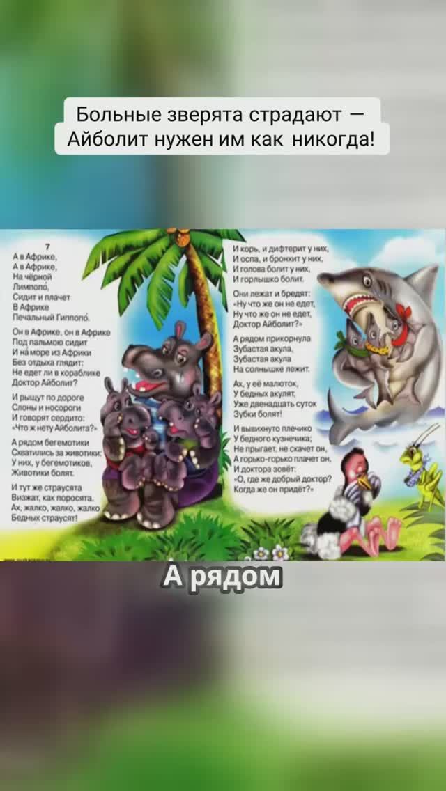 Больные зверята страдают — Айболит нужен им как никогда!