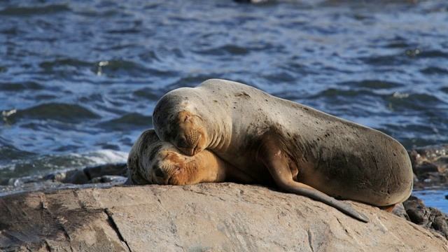 Солнце это источник энергии Творца!