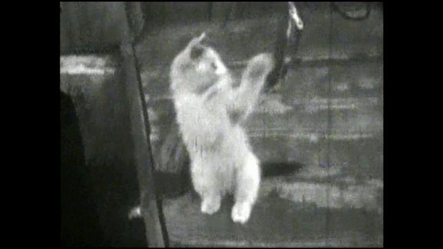 Как молоды мы были. Хроника 70-х годов ХХ века..