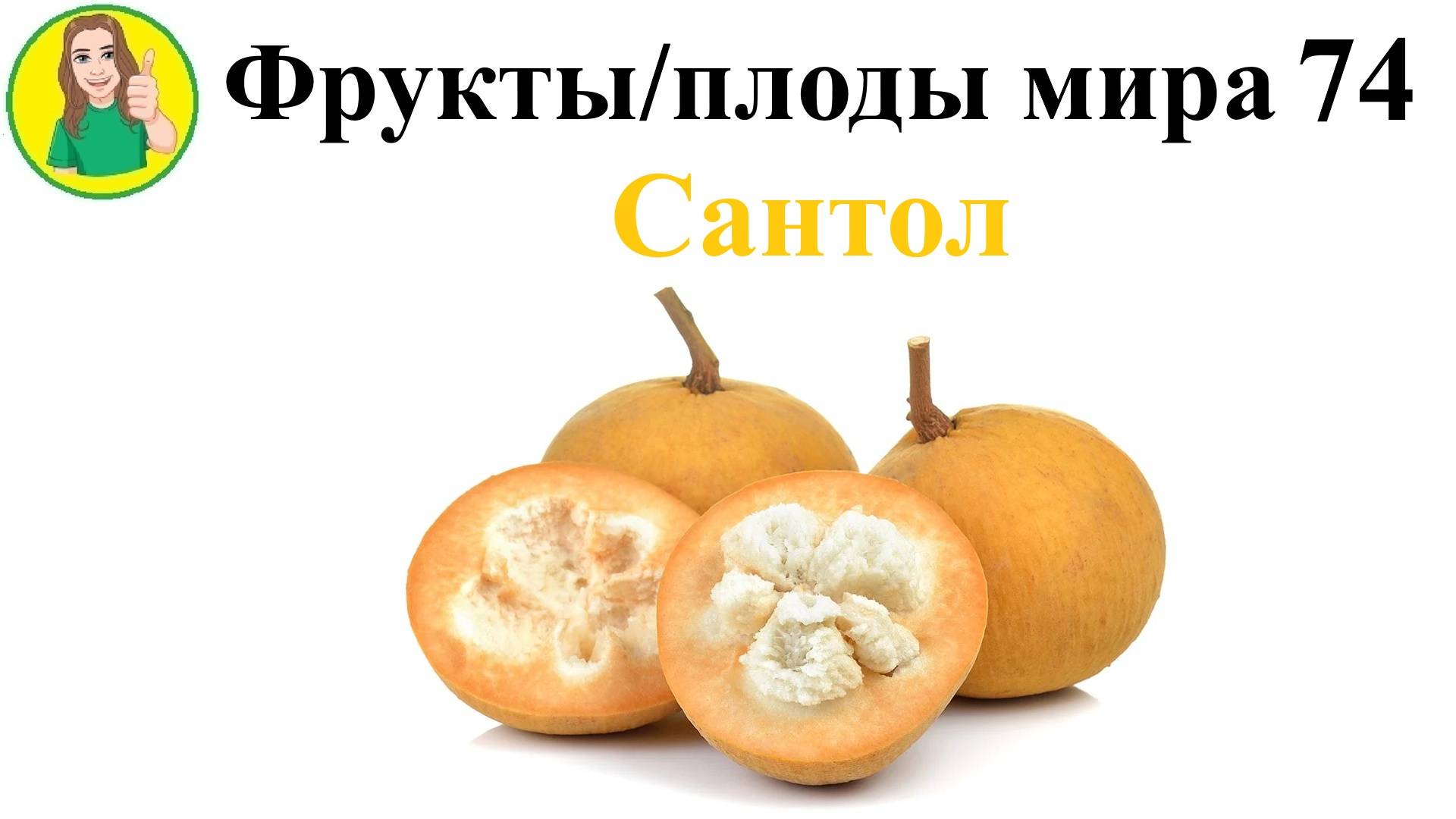 Фрукты - плоды мира 74 – Сантол Сыроедение Фрукторианство Ложный мангостин мангустин