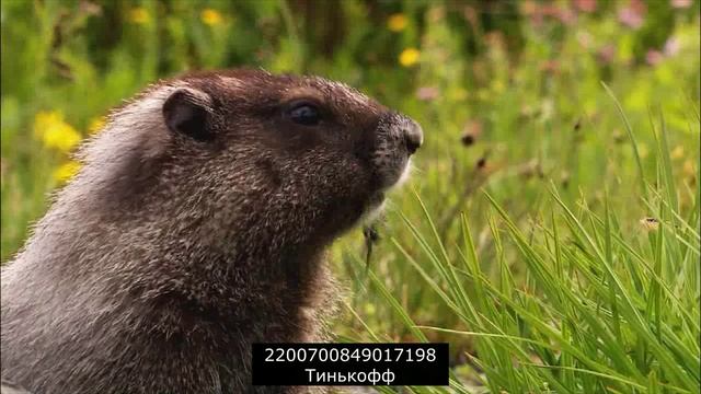 Законных способов взыскать у вас нет