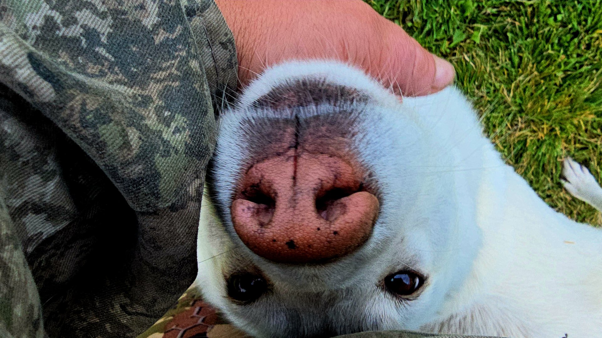 Пятиминутка