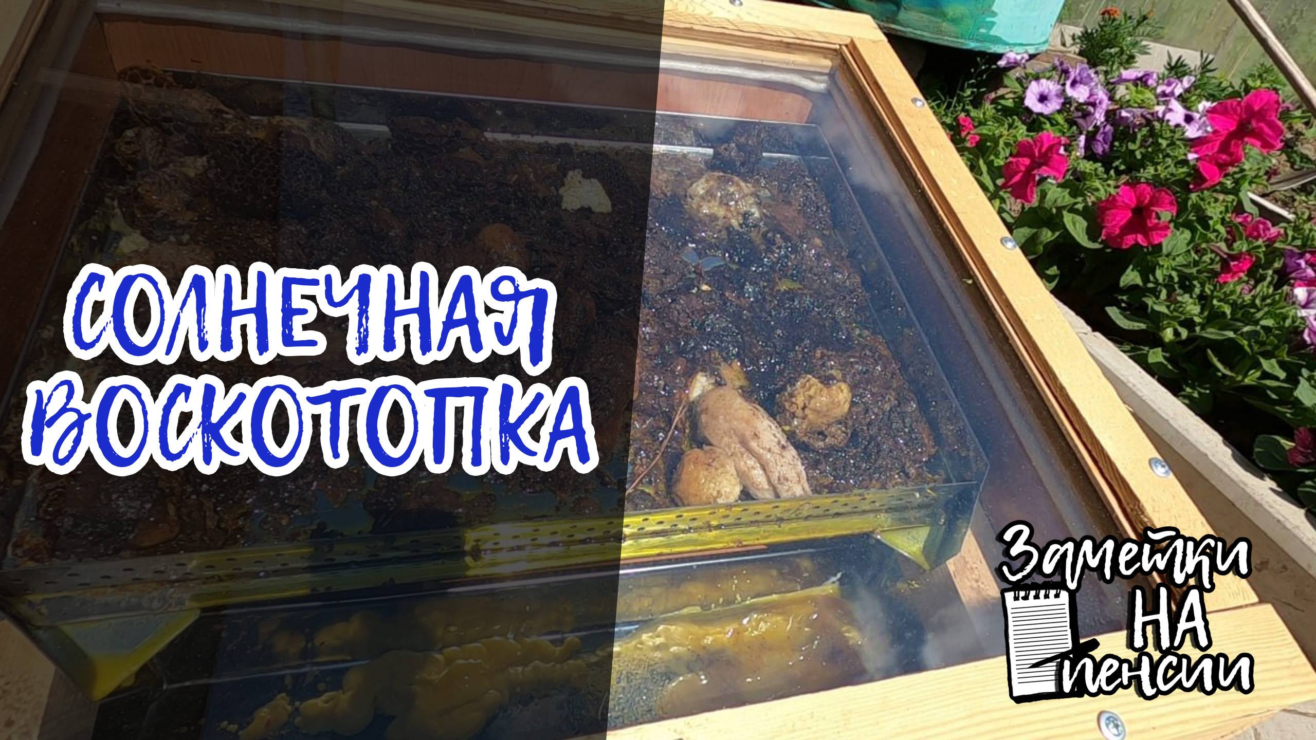 Солнечная воскотопка #воскотопка #пасека #воск #деревня