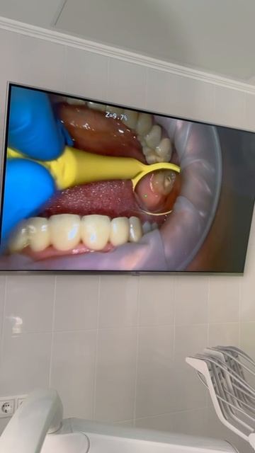 Обучение-Опыт работы на Freevision 3D