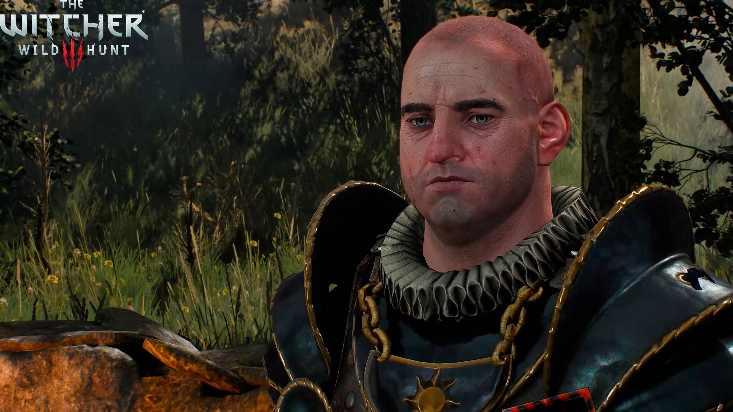 Ведьмак 3 - побочка #7 - Тайна деревни Стёжки (экима)