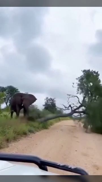 Проезд закрыт