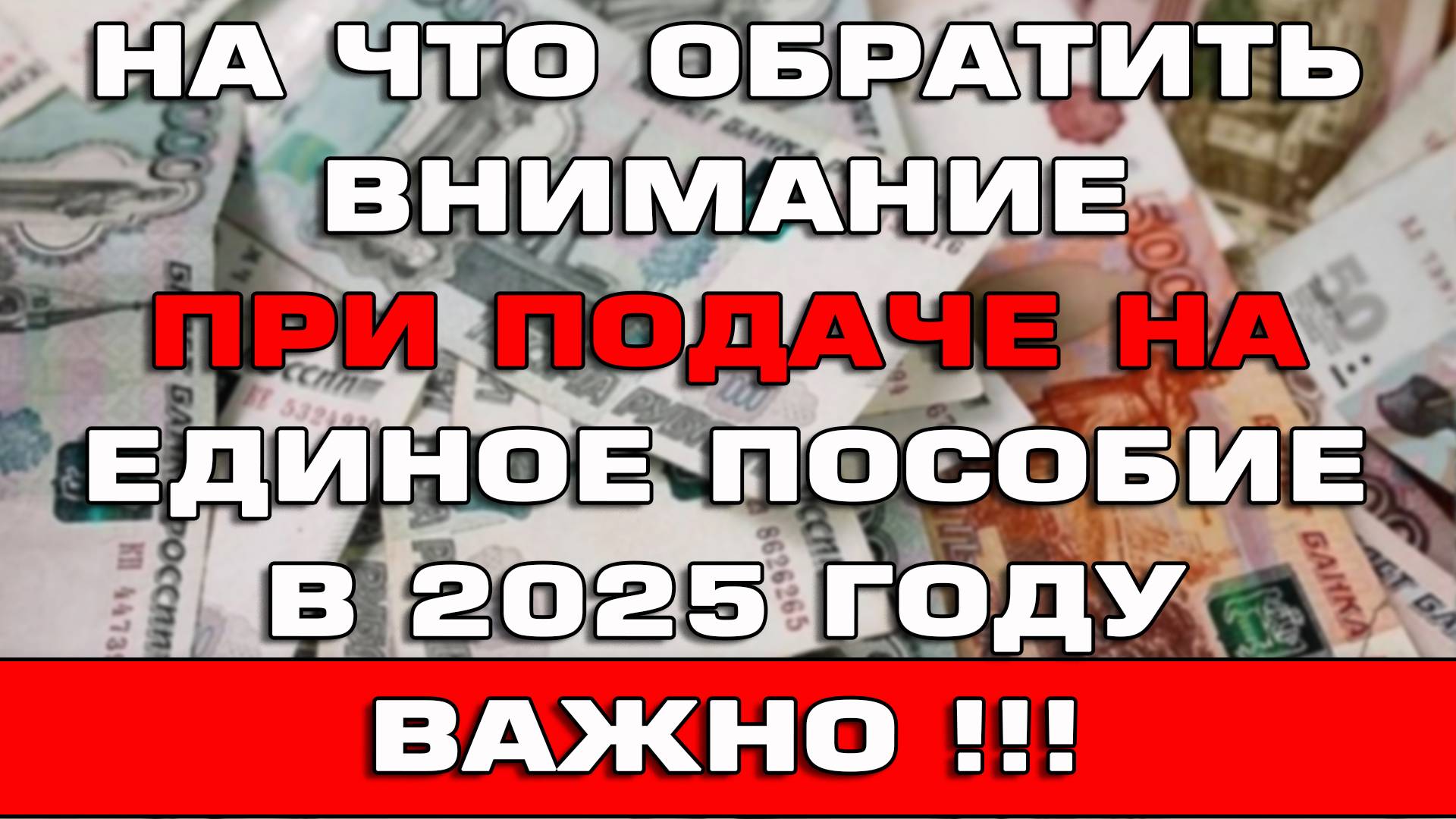 На что обратить внимание при подаче на Единое пособие в 2025 году Важно