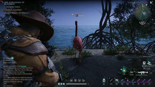 Once Human в поисках фламинго