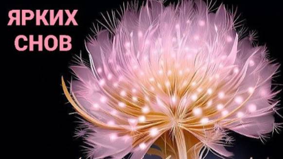 Спокойной Ночи Добрых Снов 🌙❤️