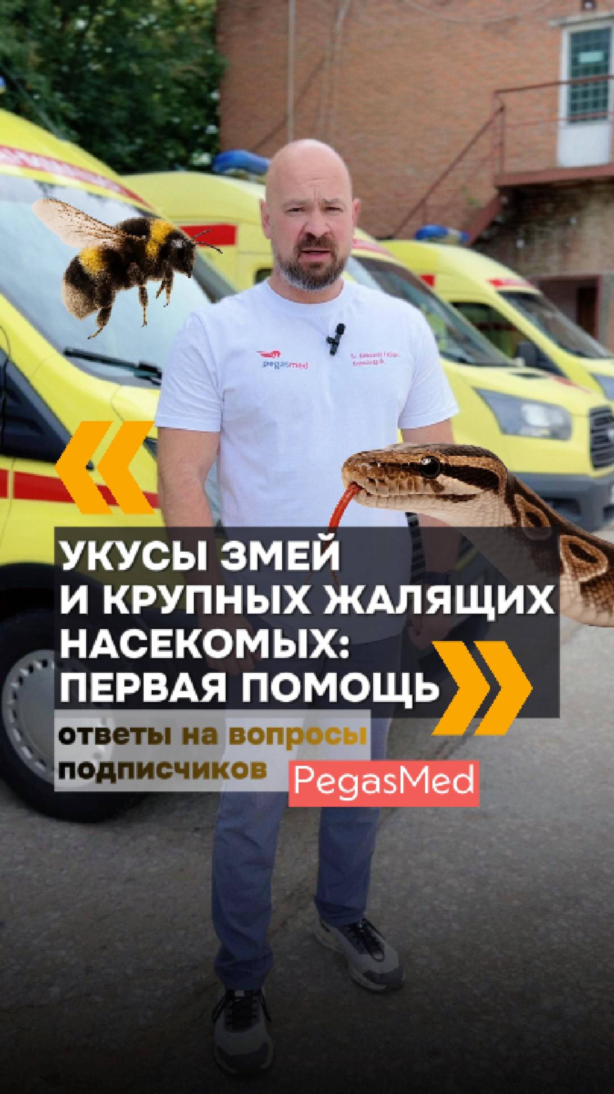 Укусы змей и крупных насекомых: первая помощь🐍🐝