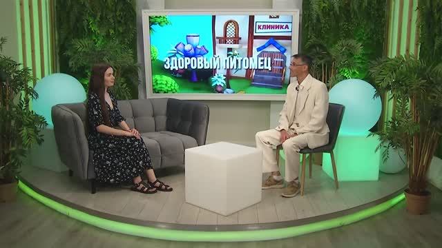 Здоровый питомец, 25.08.2025