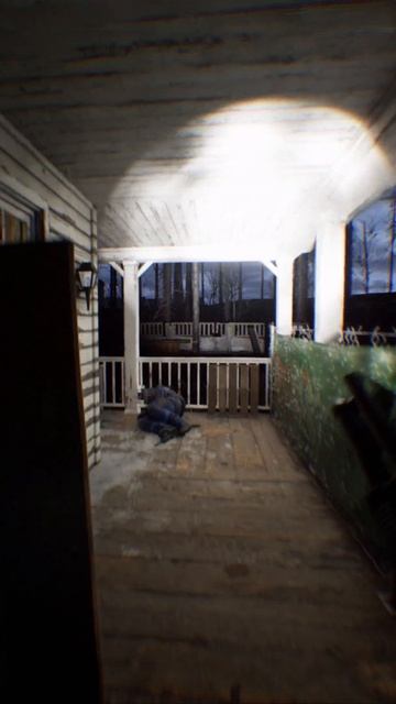 BODYCAM