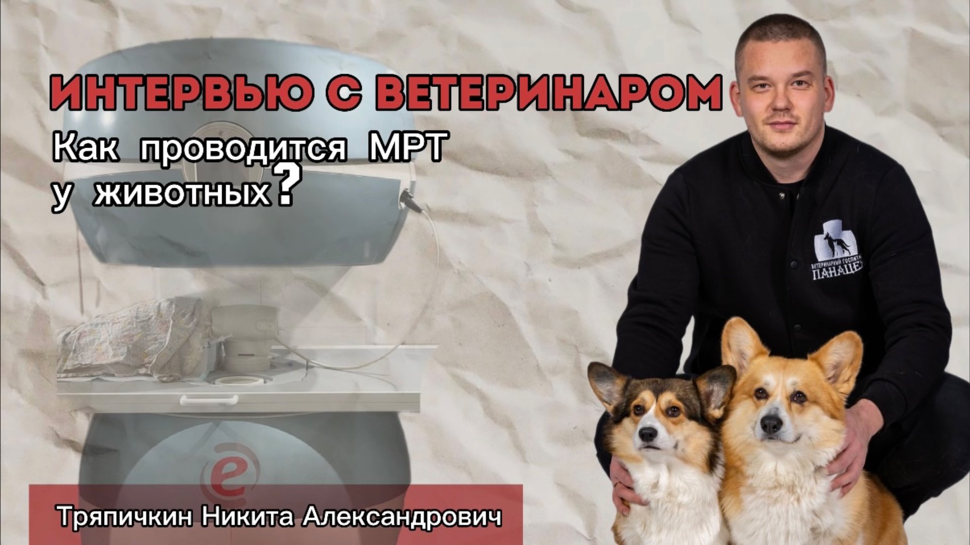 Магнитно-резонансная томография (MPT) для животных | Ветеринар отвечает на частые вопросы