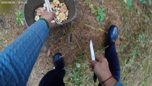 Хорошо то как в лесу.