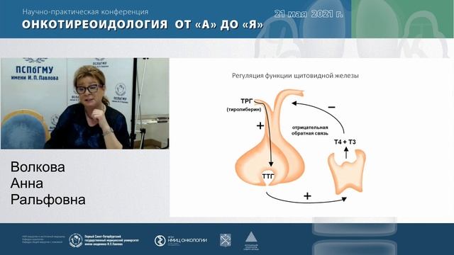 Лекция: «Онкотиреоидология – единство и борьба противоположностей. Взгляд эндокринолога»