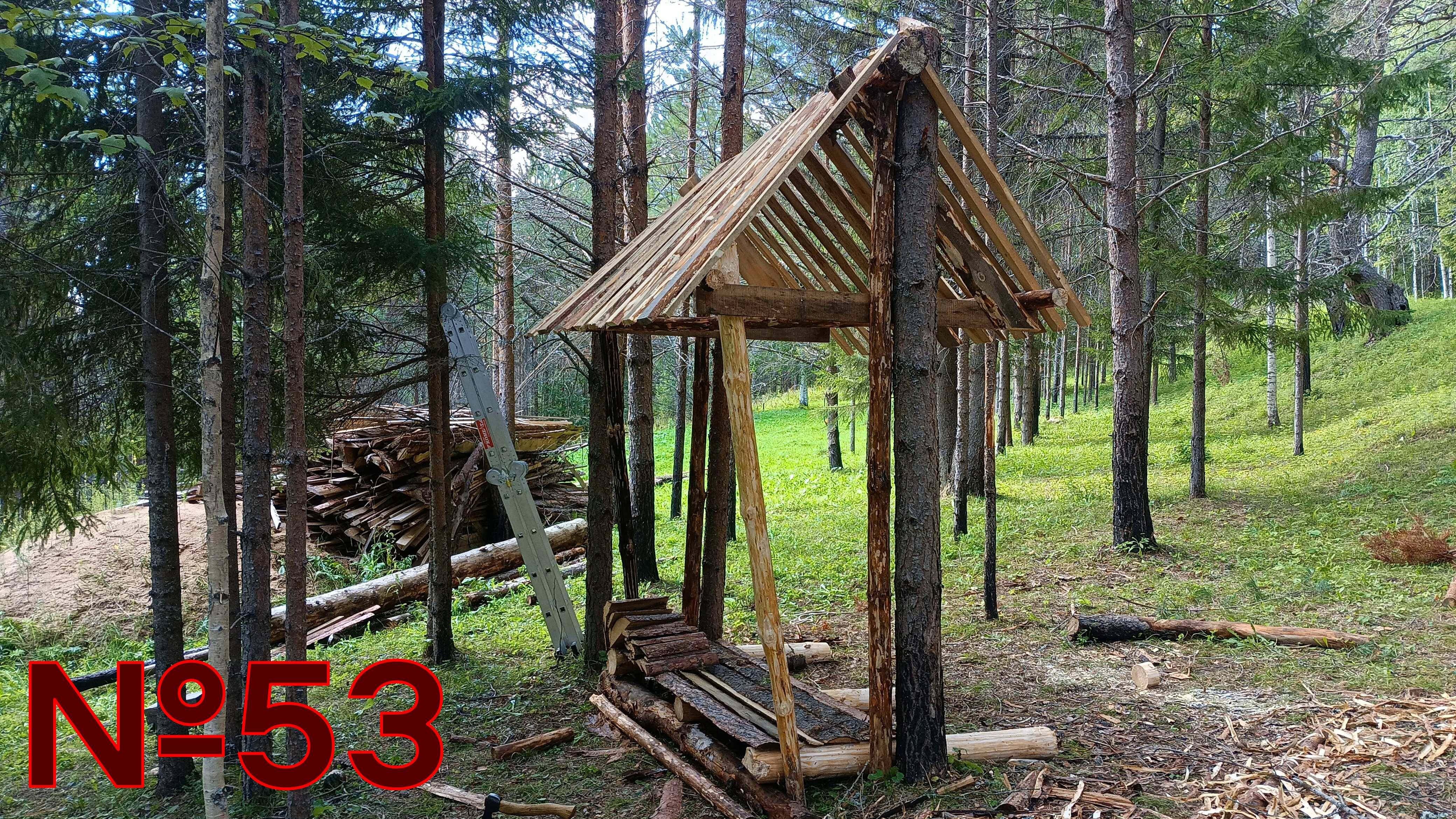 №53 Актуализация хроники. Дровяник. Дом в Тайге. Благоустройство.